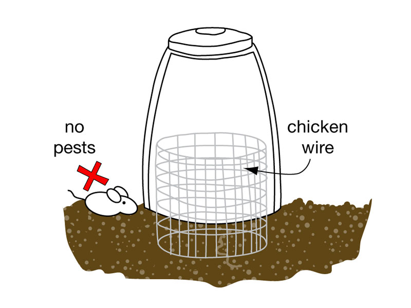 Mosman Municipal Council's Compost Revolution | Composting | Tutorials