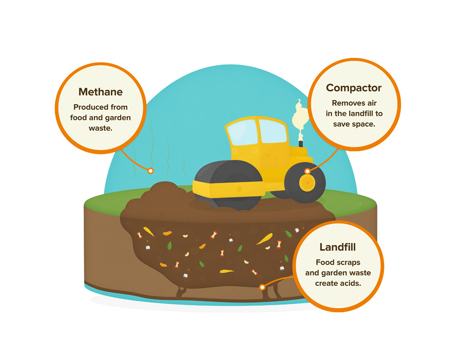 Waverley Council's Compost Revolution | About